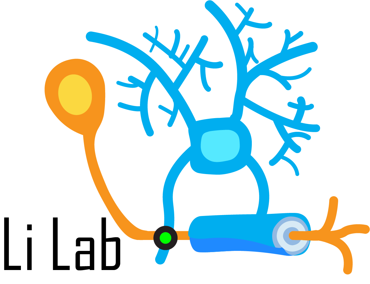 HOME - Li Lab